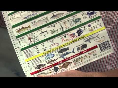 AFN Victorian Fish Guide, Waterproof Pocket Size by Frank Prokop ...