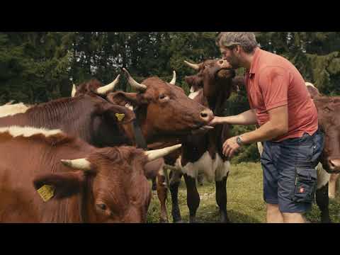 ARCHE Alm Rocheralm