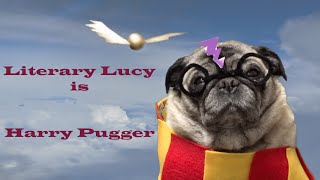 Literary Lucy Ep. 8: Harry Pugger
