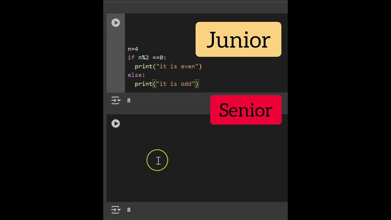 Junior Vs. Senior Python Developer #shorts #python #programming #coding