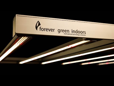 FGI Uniformity Pro Flex LED grow light review | Smart wifi controlled LED grow light