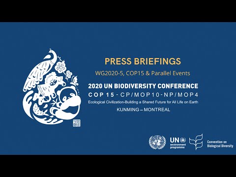 (Spanish) Daily Press Briefing - 18 December 2022 09:15 (GMT-5)