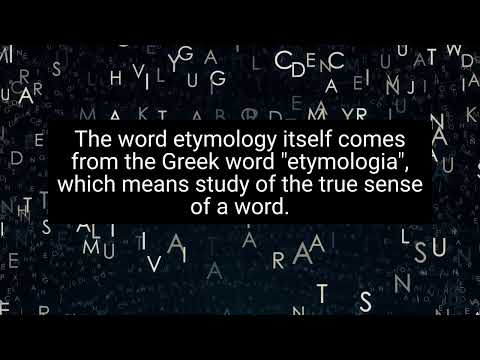 Etymology of etymology