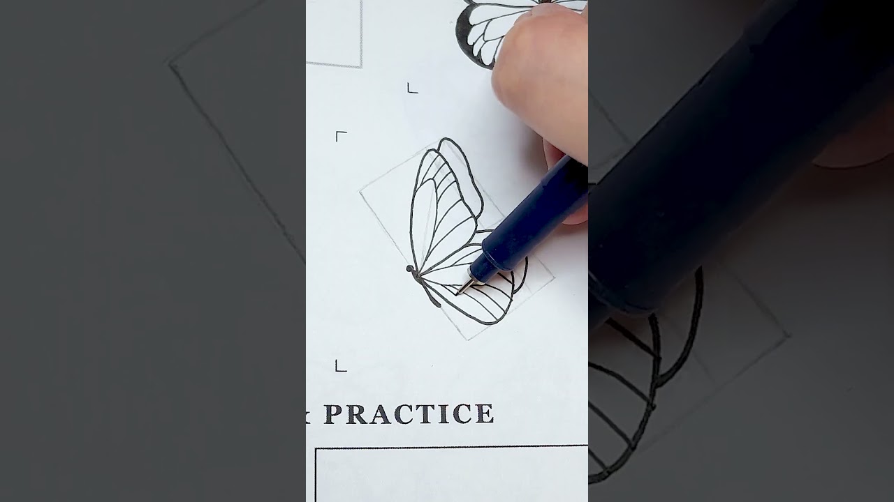 How to draw a butterfly from the floral embellishment drawing guide book 🥰✨#butterflies
