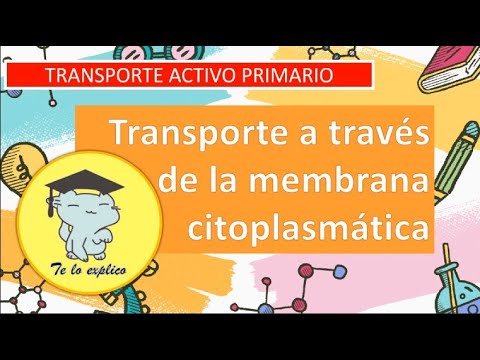 Transporte Celular Activo Primario