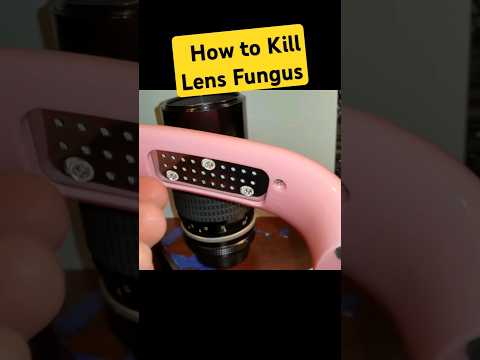 "How to Kill Camera Lens Fungus" Nikon or Canon UV Light #photography #camera #nikon #lens #art #diy