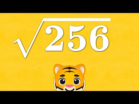 Square Root 256