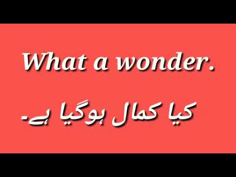 Wonder Sentences || Learning English Through Urdu || SekhoSubKuch
