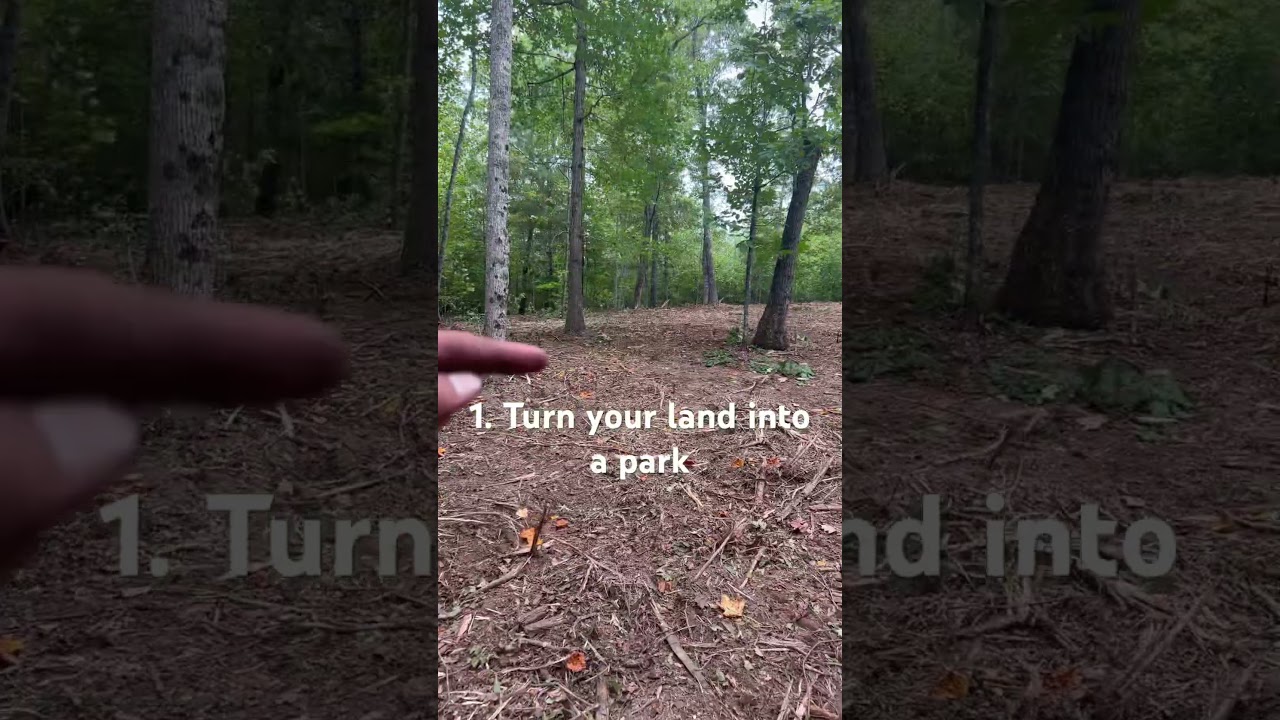 3 Reasons why landowners NEED to use a forestry mulcher  #forestrymulching #landclearing