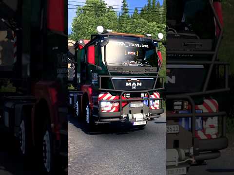 Steam Community :: Video :: MAN TGS Euro 5 Reworked 😍 HOLZ-Transport # ...