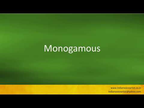Pronunciation of the word(s) "Monogamous".