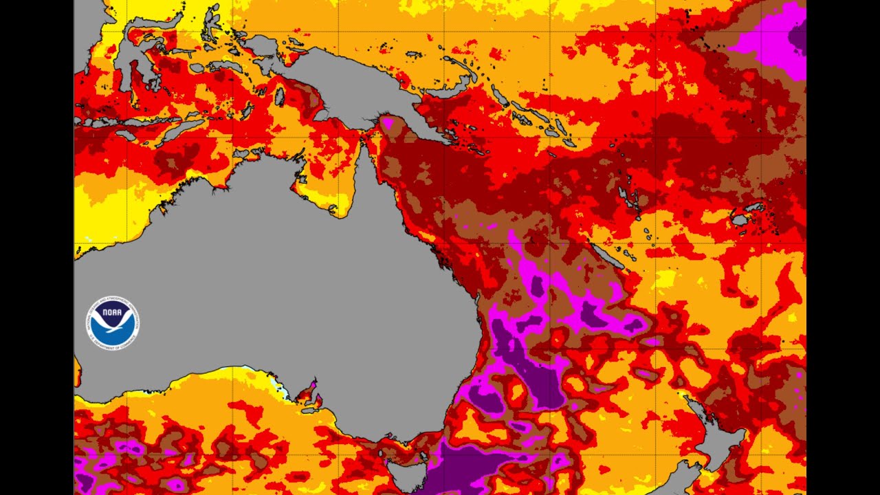 NOAA confirms 4th global coral bleaching event | Great Barrier Reef | Climate change