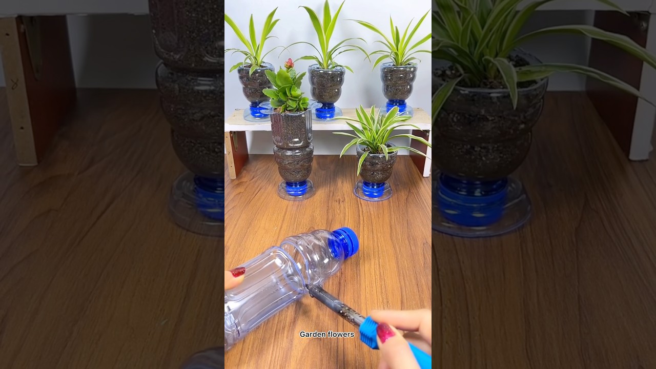 Recycle flower pot The wonder of empty bottles Amazing Flower Look at This #shorts #diy #flowers