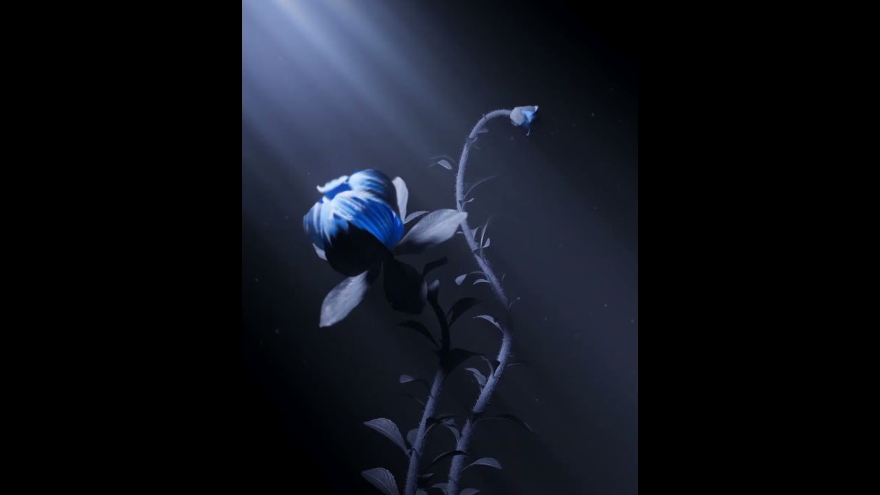 Blooming Flower in Houdini + Redshift !!!