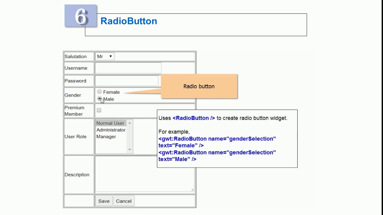 GWT - Data Entry Form