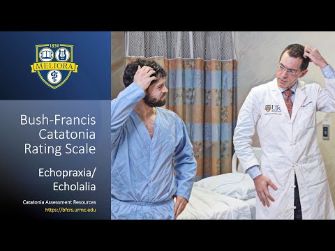 Echopraxia / Echolalia | Bush-Francis Catatonia Rating Scale |