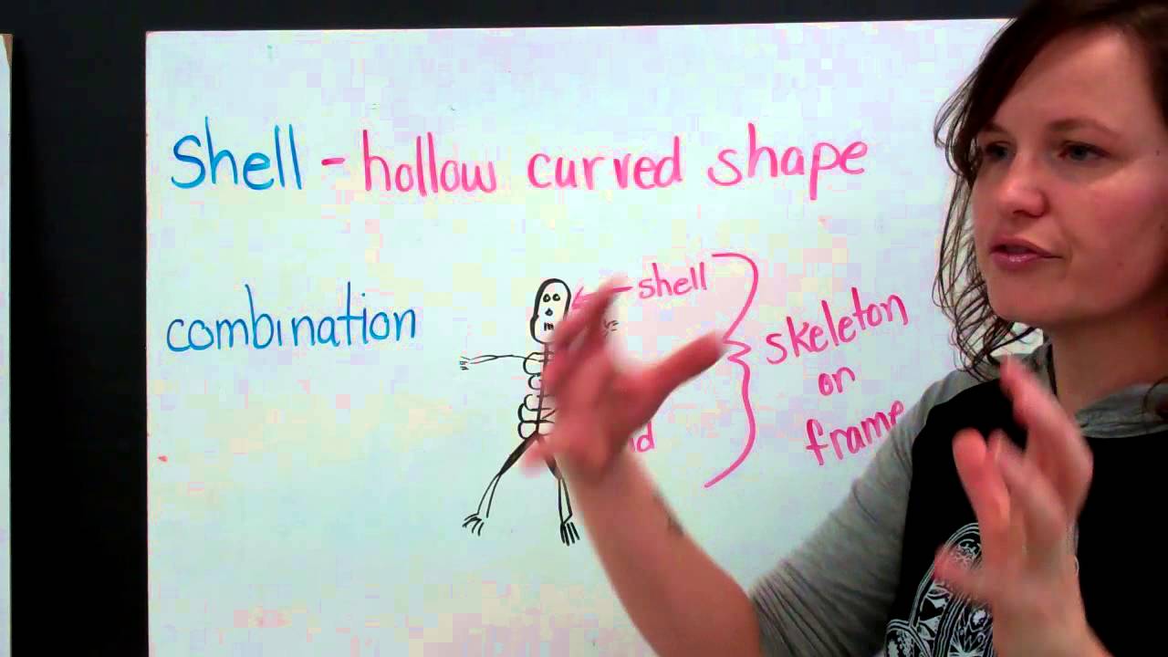 Classifying Structures