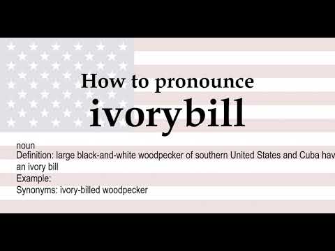 How to pronounce 'ivorybill' + meaning