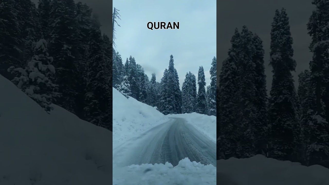 surah Al Araf ayat 204 205