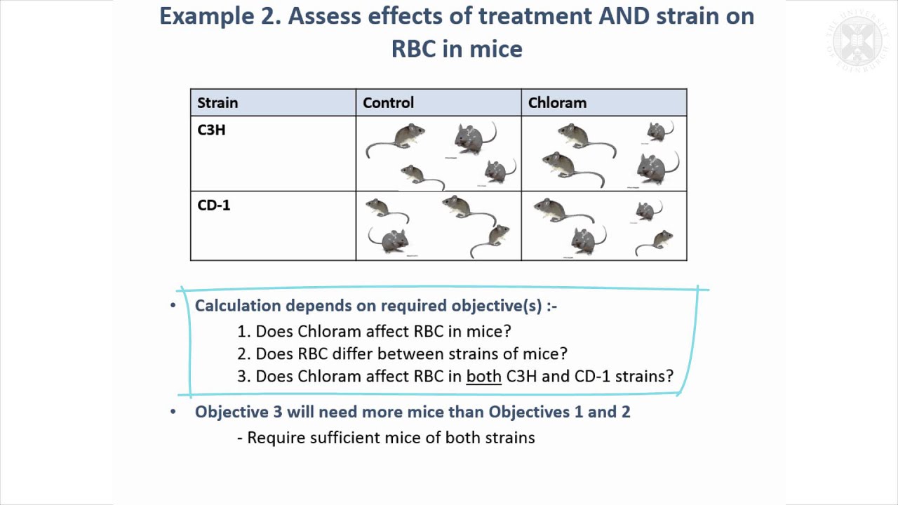 5. Sample Size Calculation - Continuous Data - Example 2