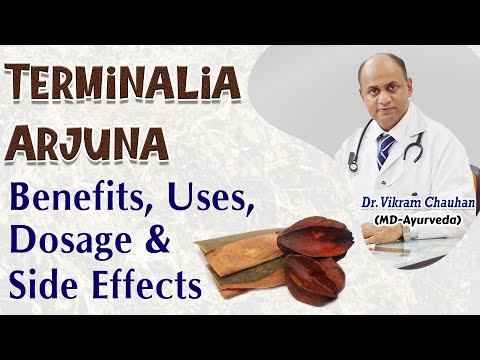 Arjuna Tree - Wholesale Price & Mandi Rate for Terminalia Arjuna in India