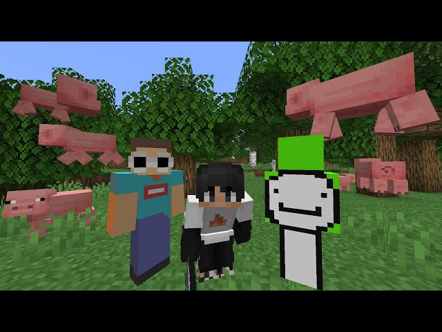 Top 5 Minecraft videos by Sapnap