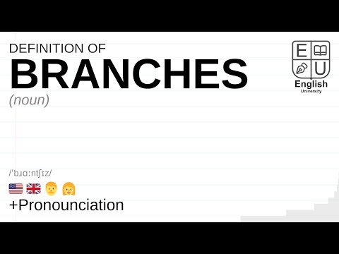 BRANCHES meaning, definition & pronunciation | What is BRANCHES? | How to say BRANCHES