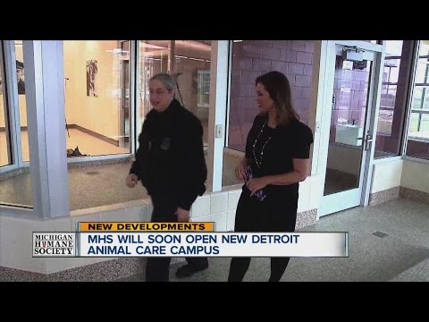 Inside MHS's new Detroit Center for Animal Care