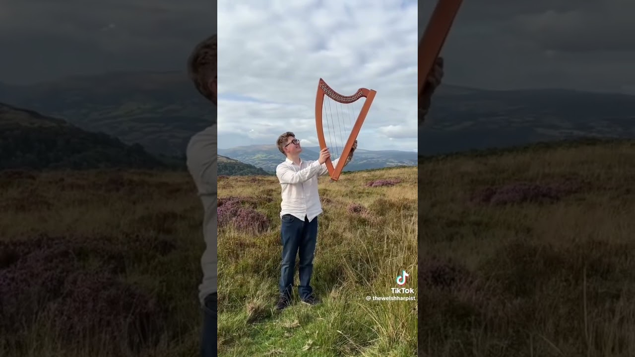 Whimsycore Tiktok Compilation