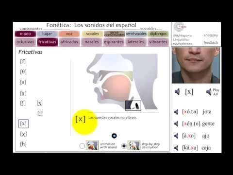 Clasificación articulatoria de los sonidos – Text Linguistic
