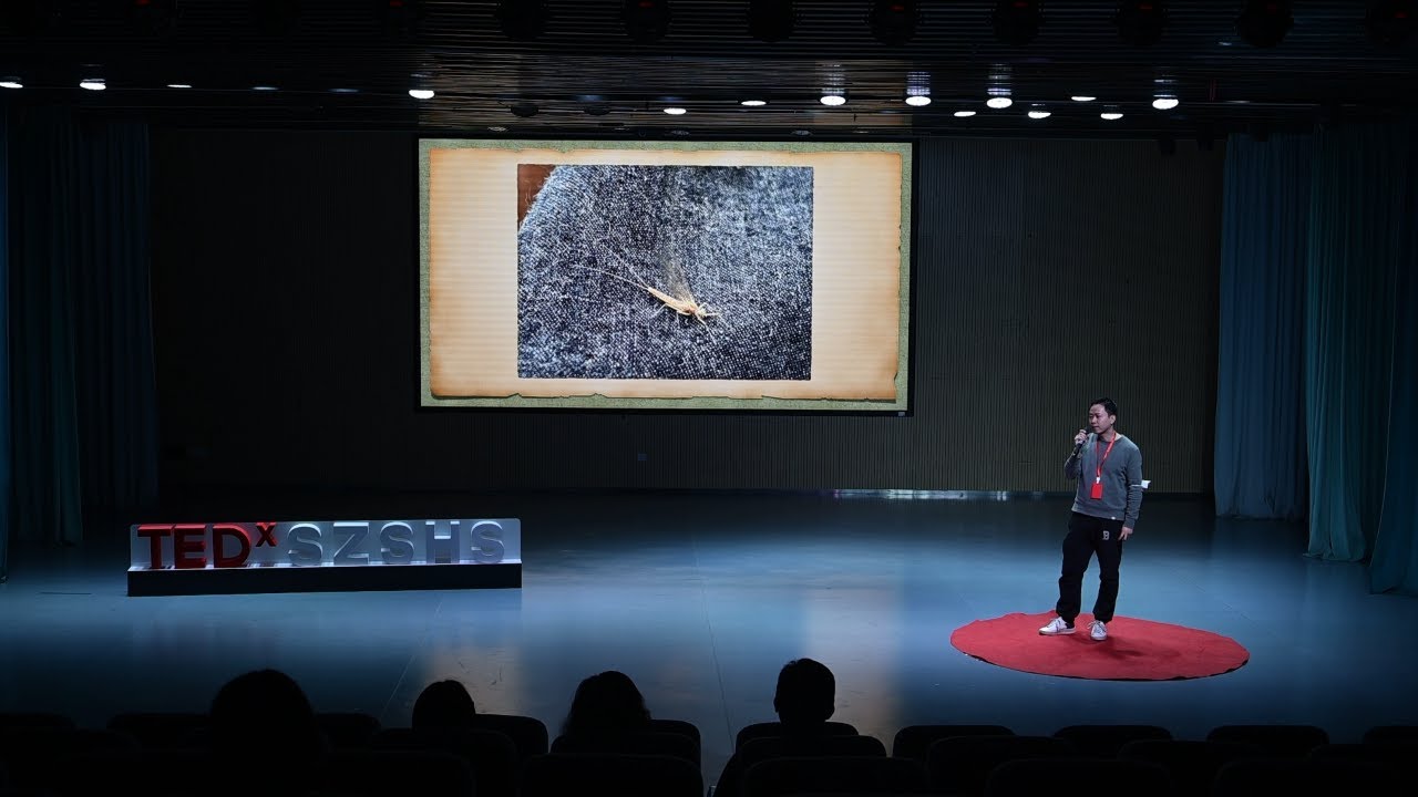Life is elsewhere? It's in an instant | Haihan Liao | TEDxShenzhenSeniorHS