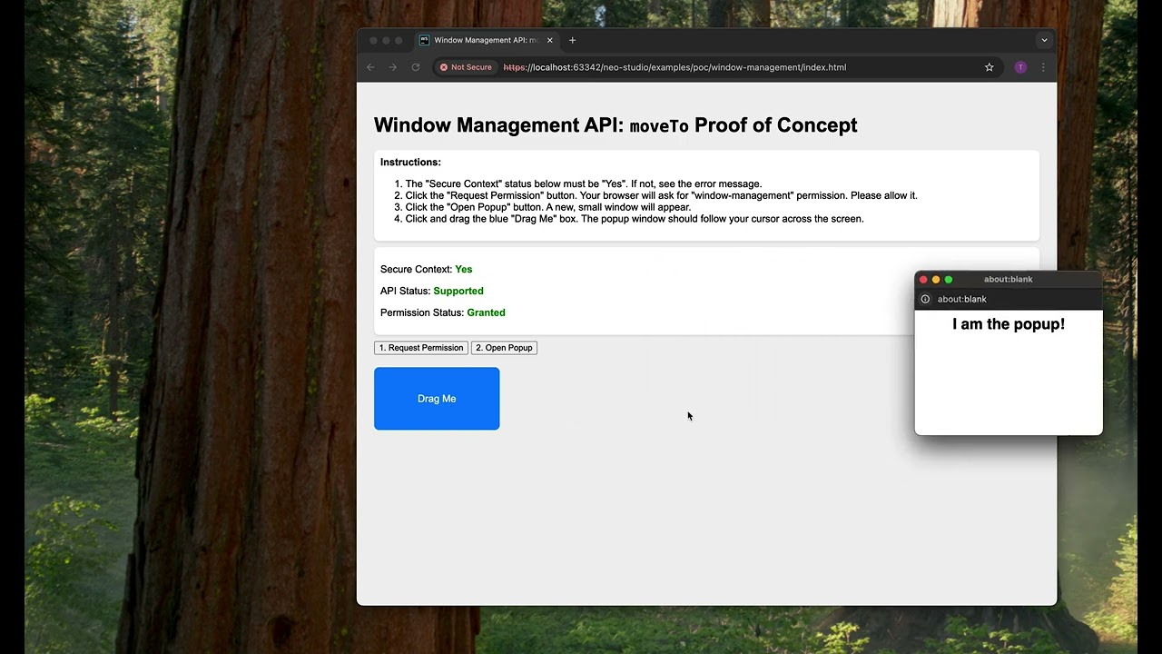 Window Management API: moveTo Proof of Concept