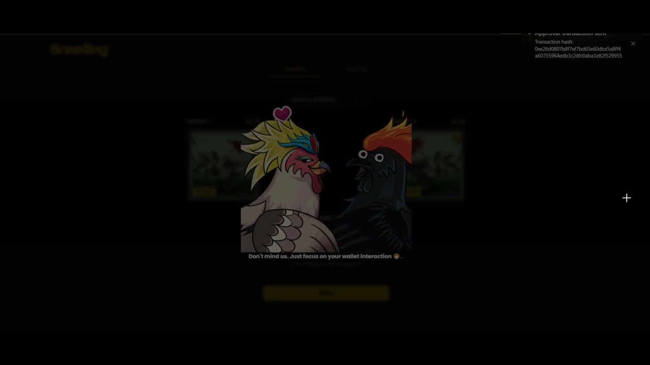 Sabong Saga Breeding COCKS