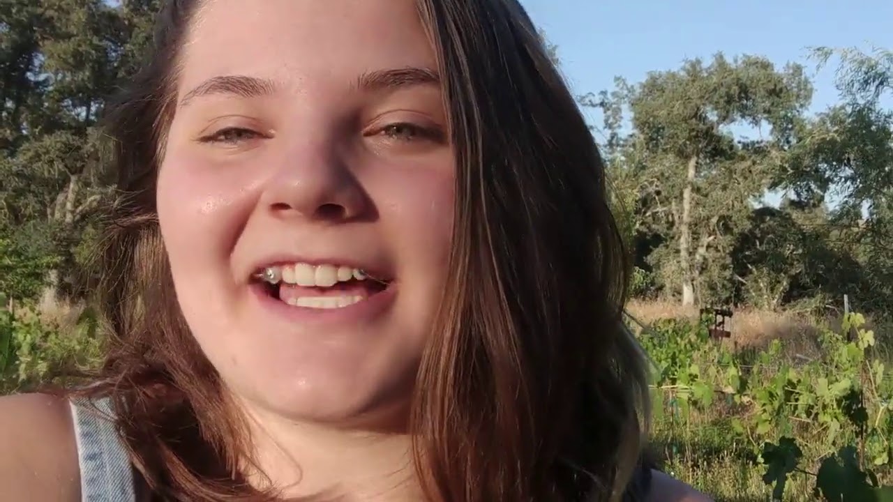 Writing with The Intuitive Writing Project