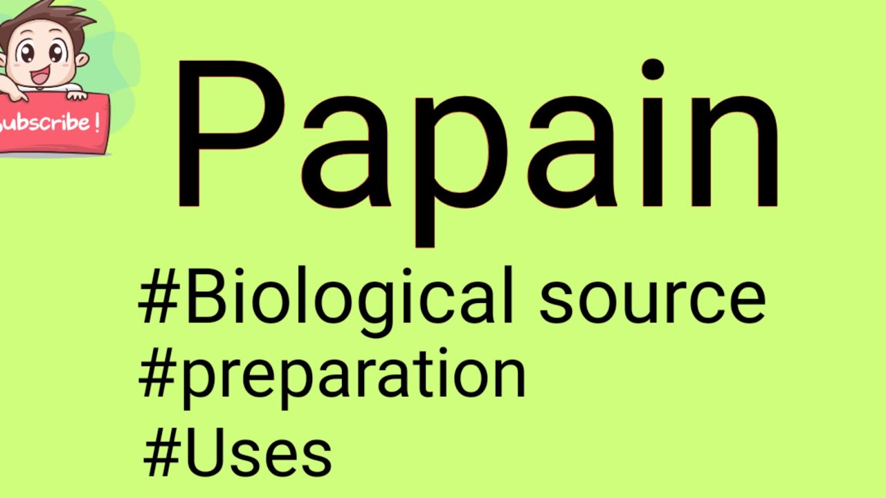Fungal Diastase And Papain Syrup