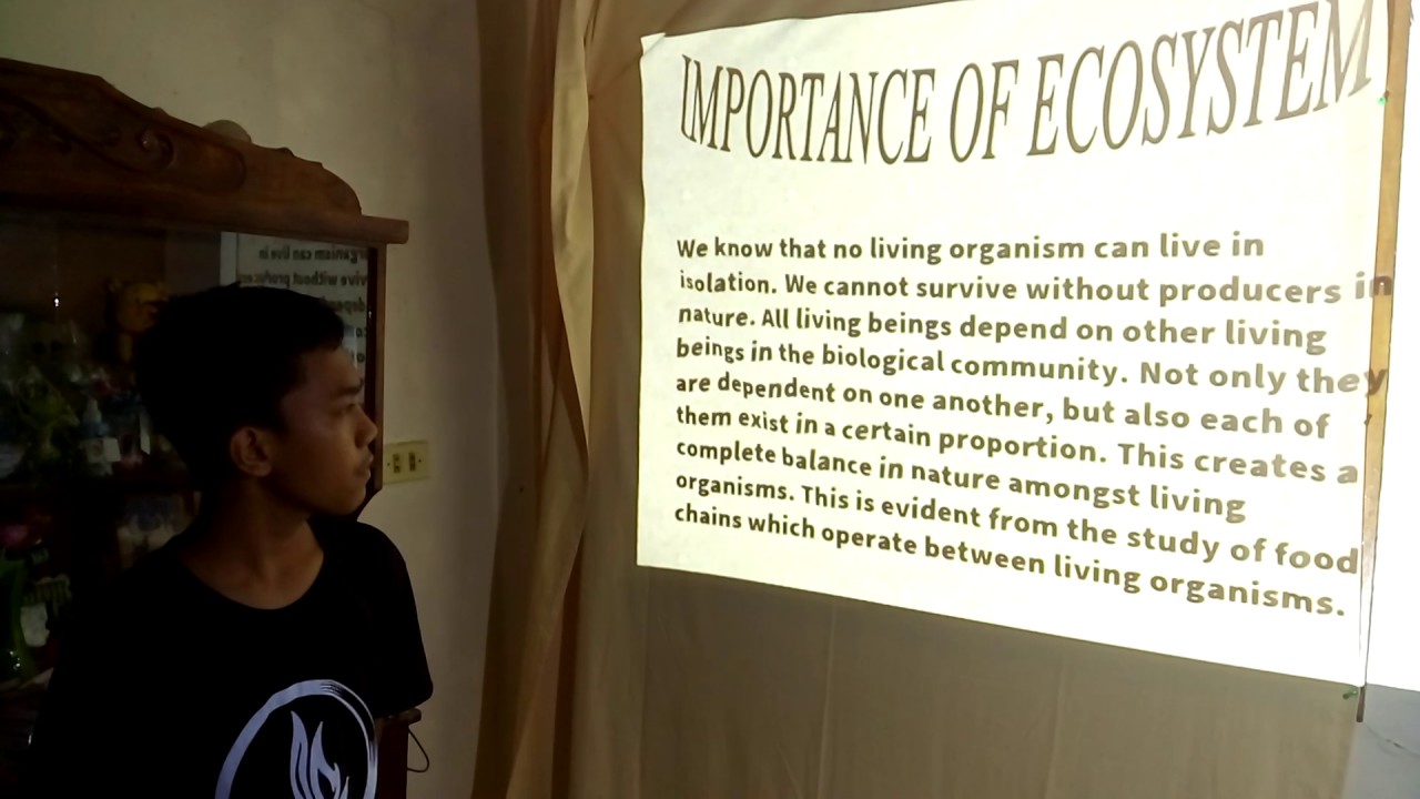 Ecosystem Power Point Presentation