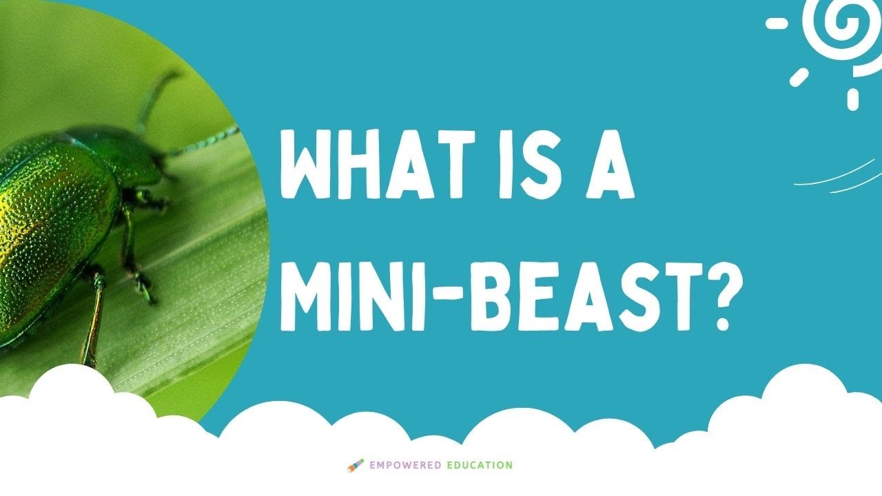 What is a Mini Beast