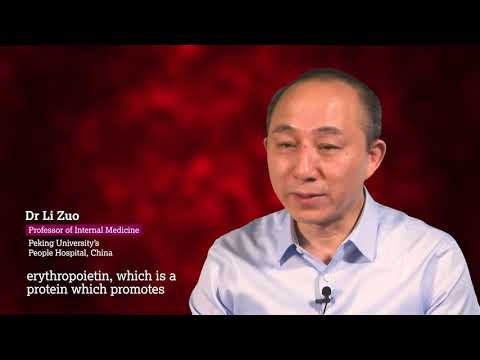 Nephrologists’ perspectives on Anaemia in Chronic Kidney Disease: Dr. Li Zuo