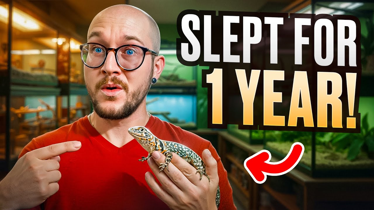 My Lizards Slept for a YEAR!