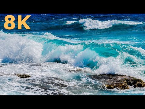 Free 8k Video Download HD Free Video No Copyright Video 4k