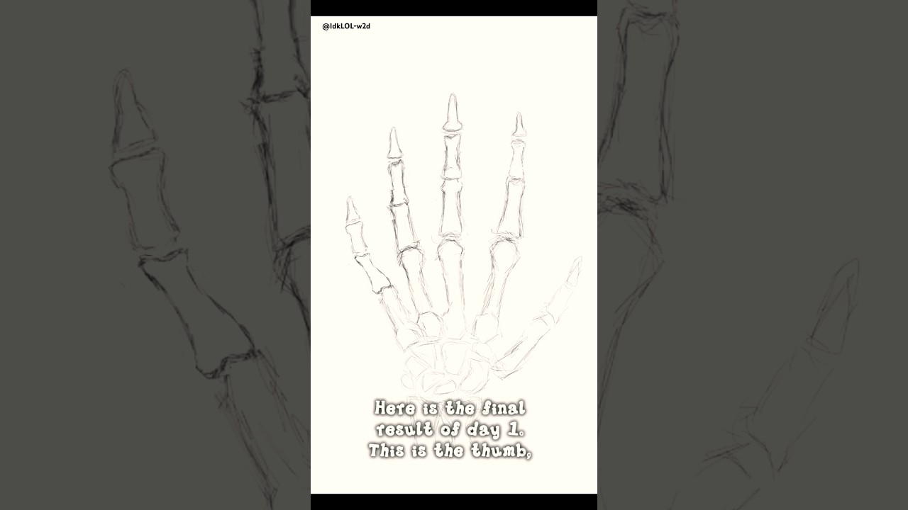 Day 1 l Draw With Me (Hand Anatomy) #drawing #draw #drawithme #teaching #anatomy #anatomylearning
