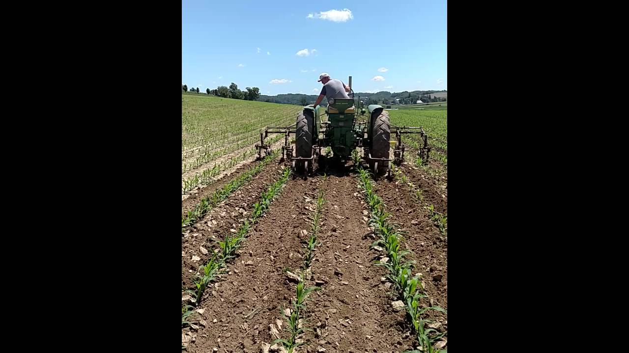 Jd 730 cultivating corn