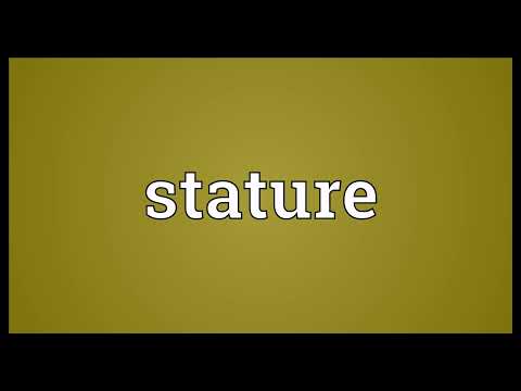 Stature Meaning