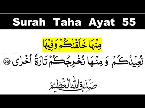 Surah Taha Ayat 55 | Ta Ha ayat 55 | surah taha ayat number 55 | taha ayat 55 | ayat 55 surah taha