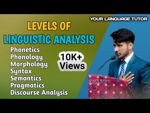 Levels of Linguistic Analysis | in Urdu/Hindi | Core Branches of Linguistics | Linguistics