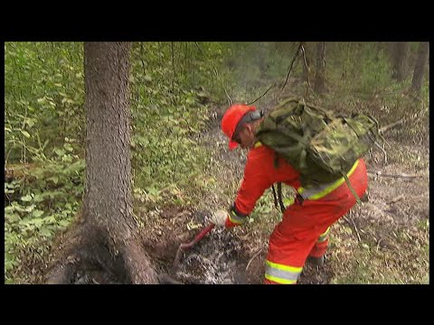 Climate change is warming Canada's boreal forest, bringing greater risk of fire and disease