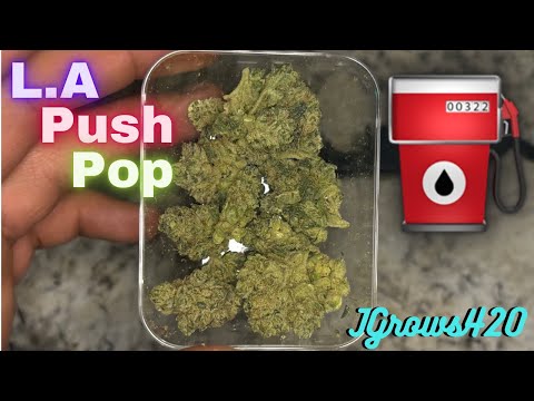 Trying L.A Push pop from JGrows420, Does it smoke? THCa review