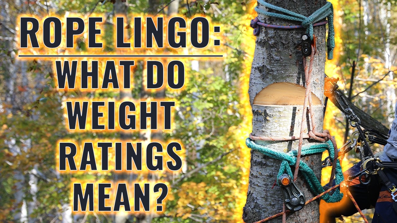 Arborist Ropes: The Basics