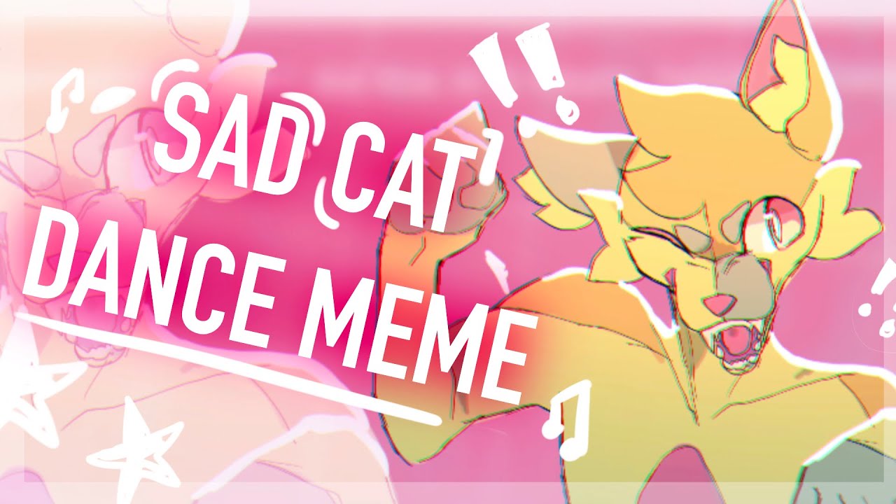 Sad Cat Dance [ANIMATION MEME]