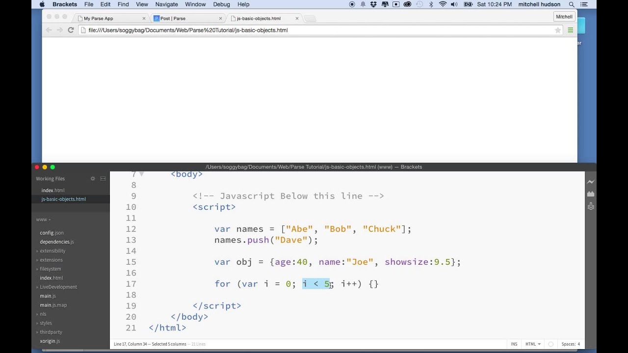 3 Basic JavaScript Loops with Arrays and Objects